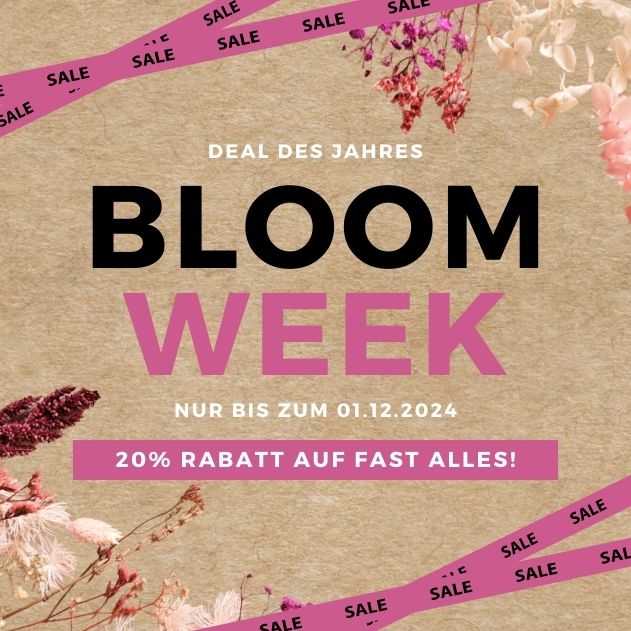 20% Rabatt auf Trockenblumen – Vasenglück